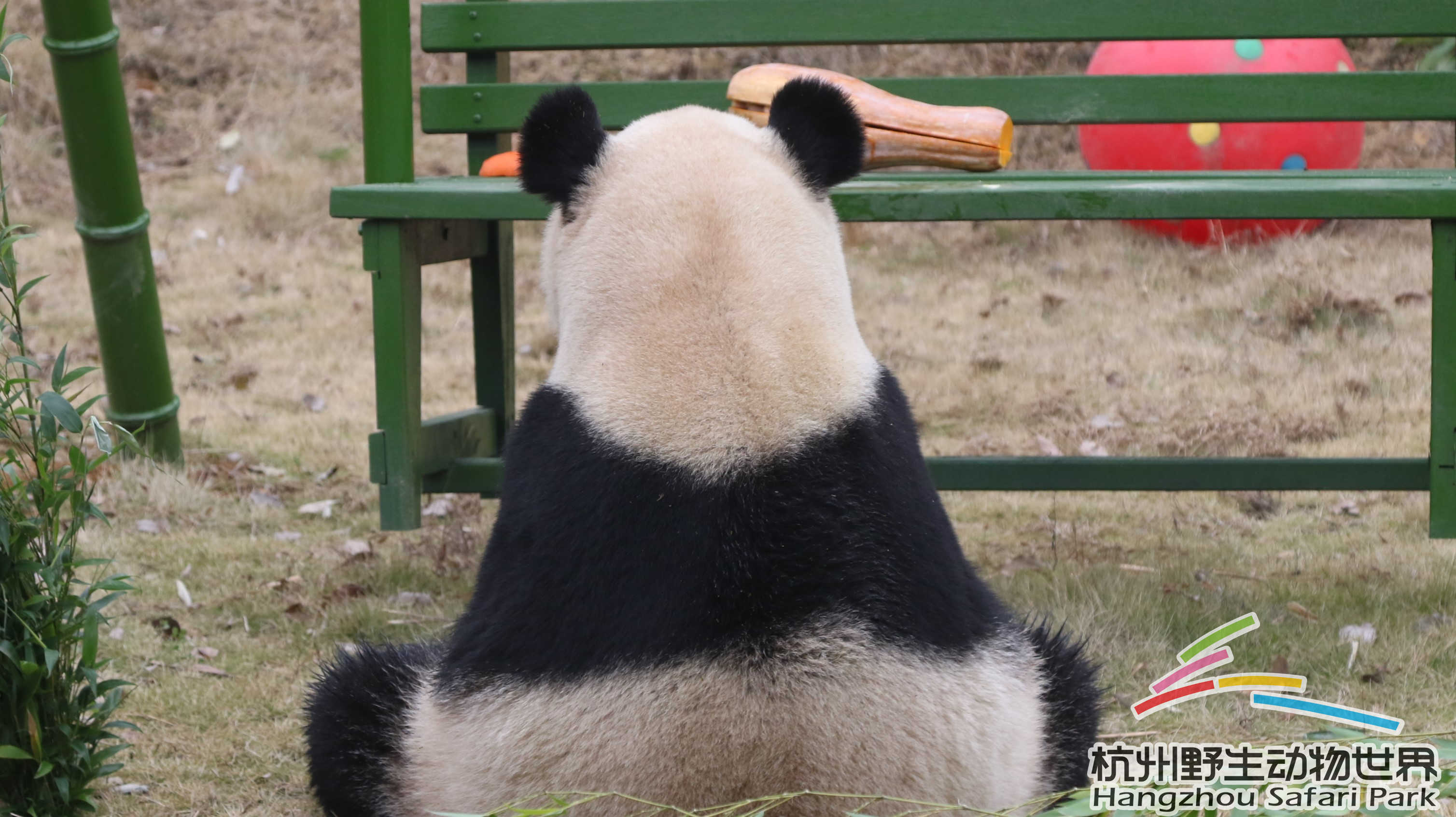 Laba Festival for Animals—Hangzhou Wildlife World Laba Food Show - iMedia