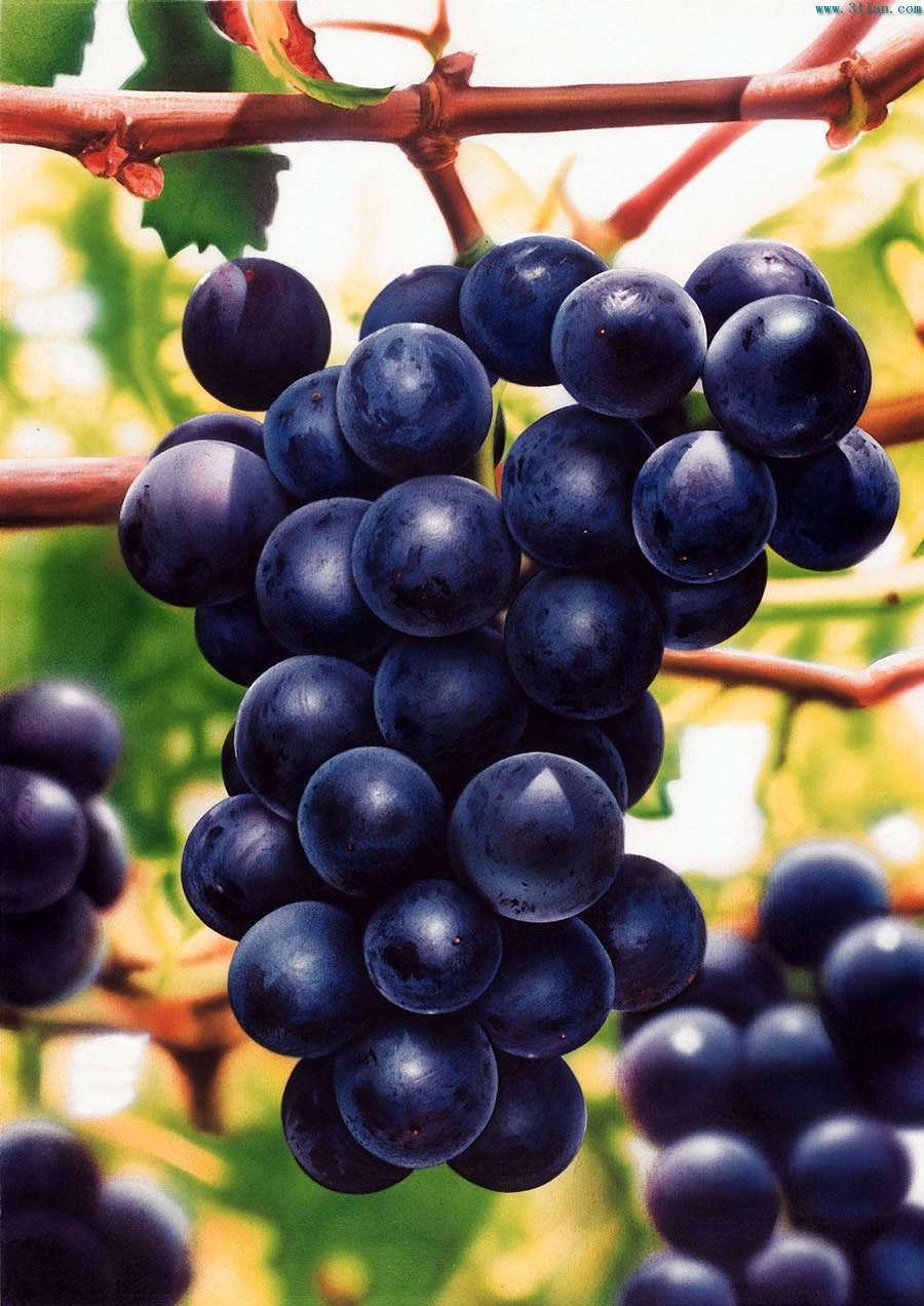 The top five rankings of the most delicious grapes in China, see if ...