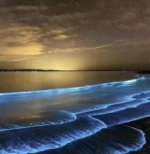 There are only seven fluorescent beaches in the world, one of which is ...