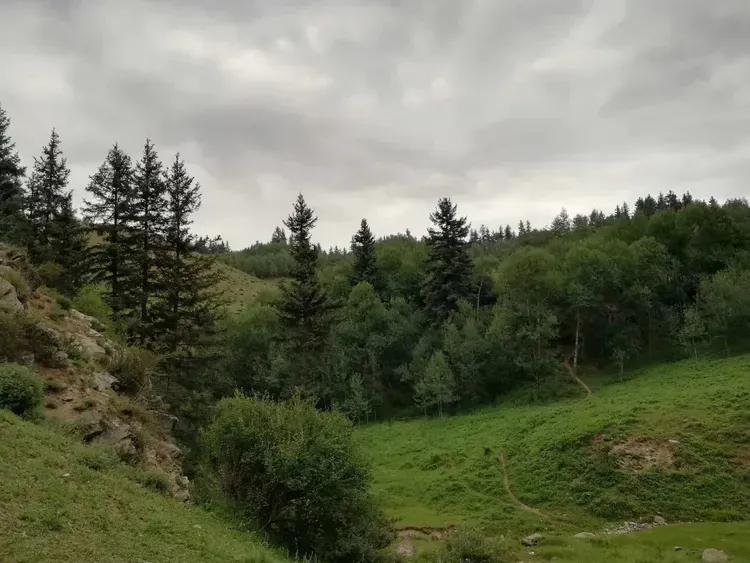 Life. Memories of Haxi - iNEWS