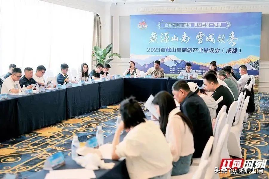 Visitors from Chengdu, Shannan, Tibet: Go to the snow-covered plateau to appreciate the beauty ...