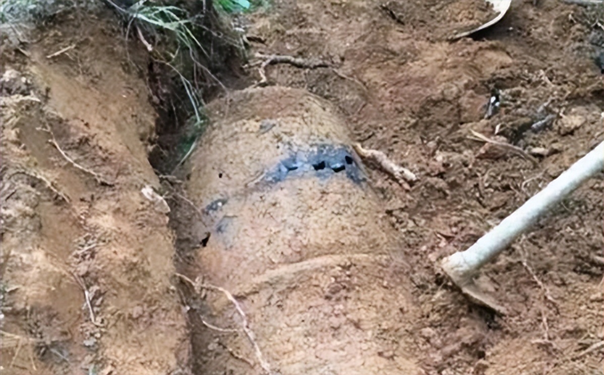 The great Chinese Expeditionary Force went to Burma twice, and the ...