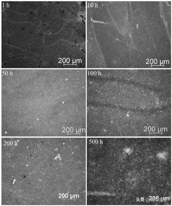 High-temperature oxidation of Pt–Al–Cr–Ru alloys, scale morphology and ...