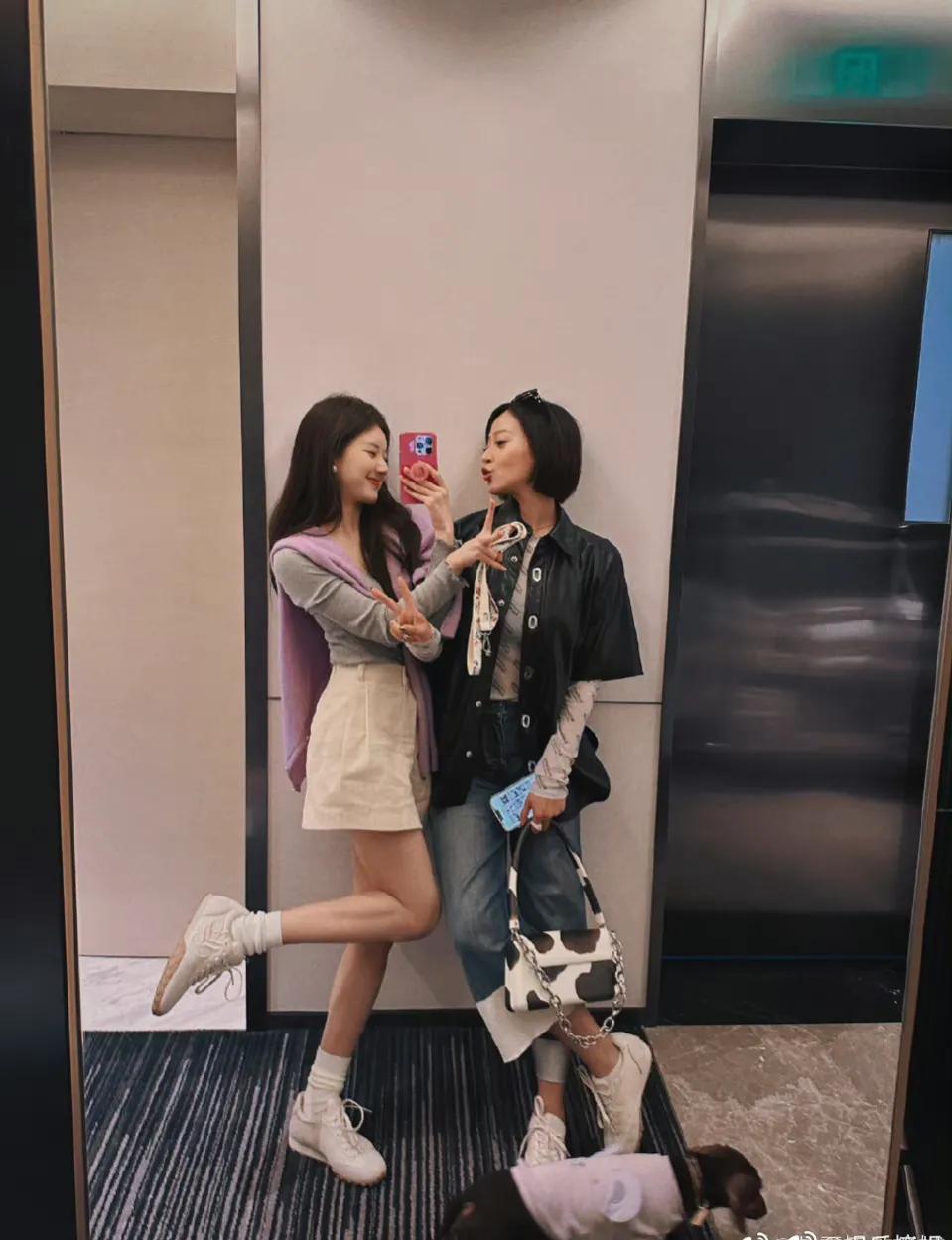 Zhao Lusi's daily business and three dogs are so cute - iNEWS