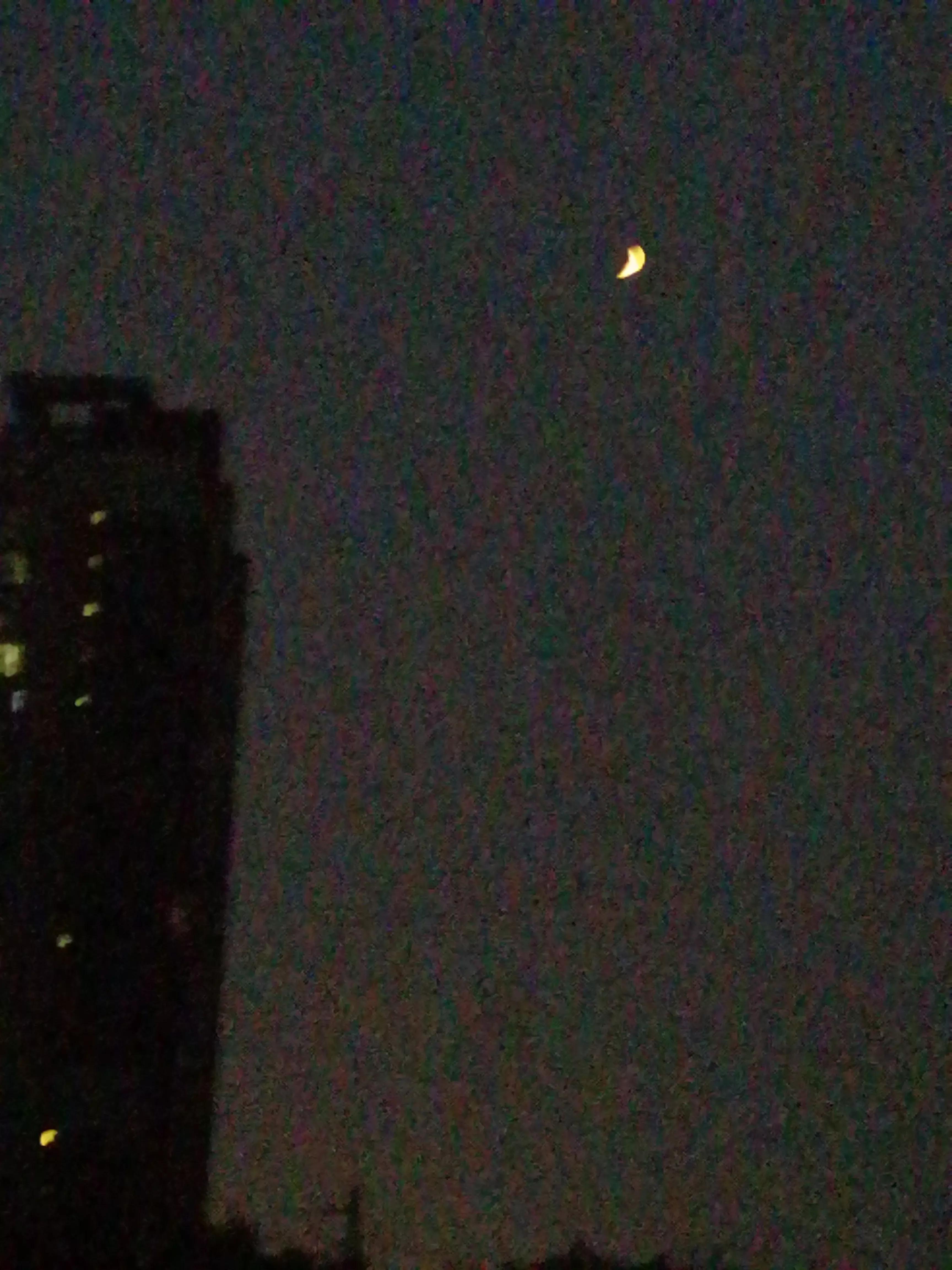 The Five Laws · Ching after the Mid-Autumn Festival - iNEWS