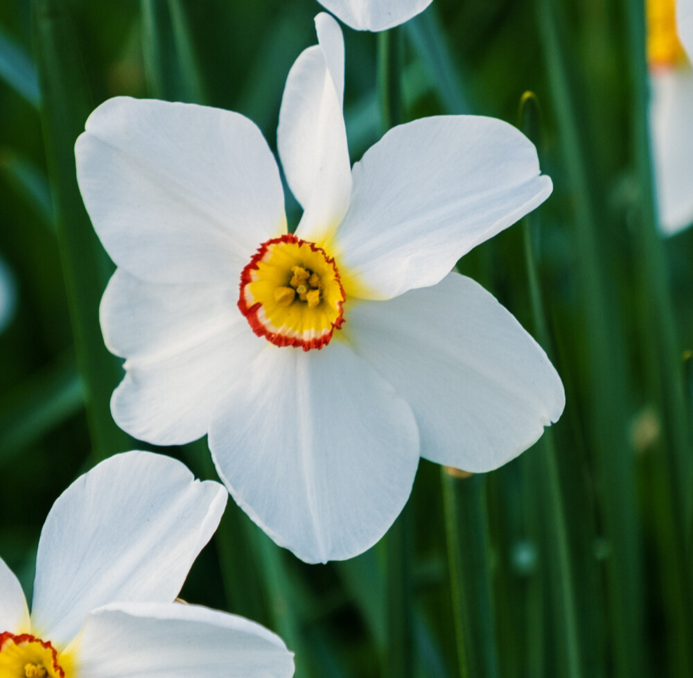 Sincere, also has the constellation of the city, kind and sharp, can ...