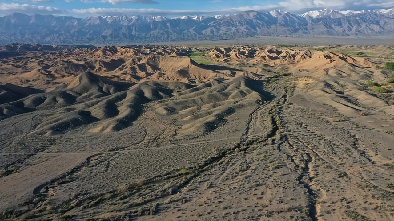 The characteristics and structure of Tarim Basin faults and their ...