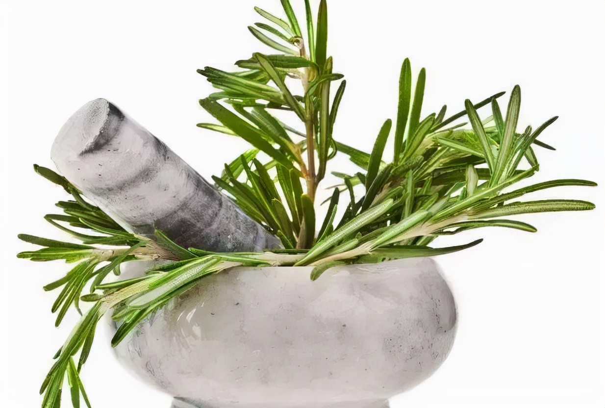 These plants are the "natural spices" in our daily life. Put a handful ...