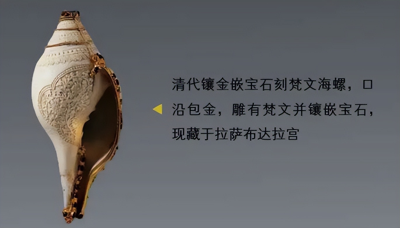 Chen Chen: Conch Culture in Ancient China - iNEWS