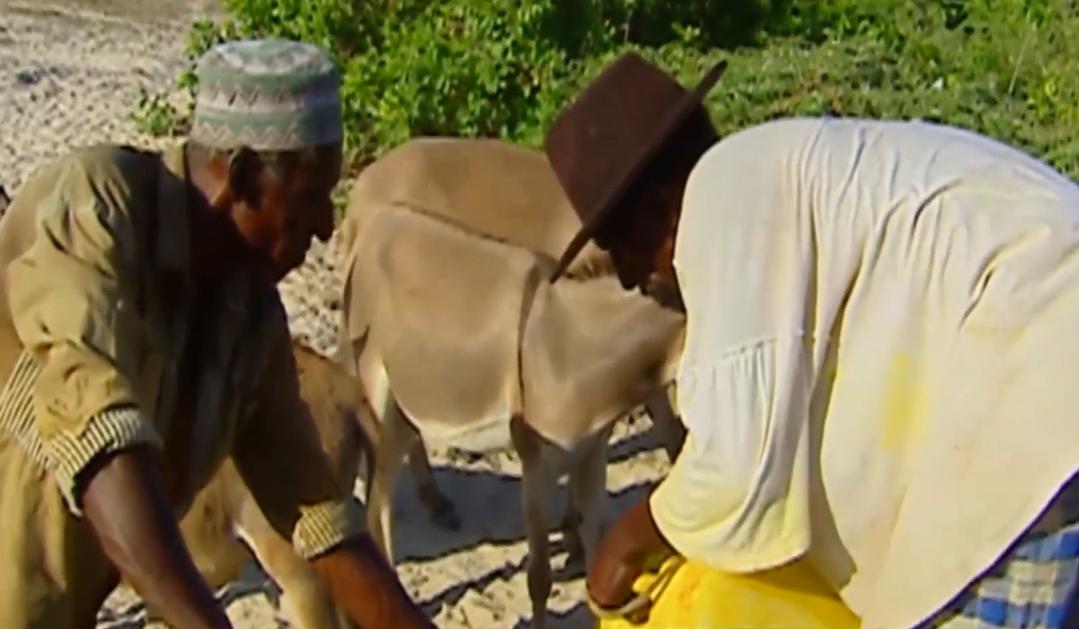 Kenya's fishing genius: Diving blood-sucking fish dive into the deep ...