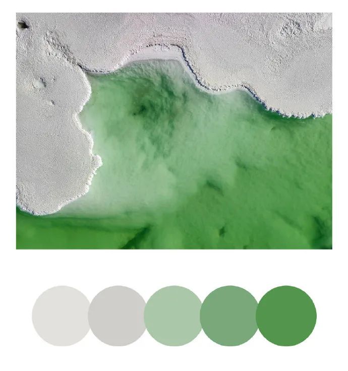 Spring Color Cards - Six Color Schemes From Nature - iNEWS