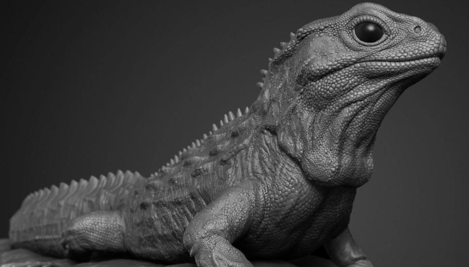 17 'living fossil' creatures that survive to this day, dinosaurs are ...