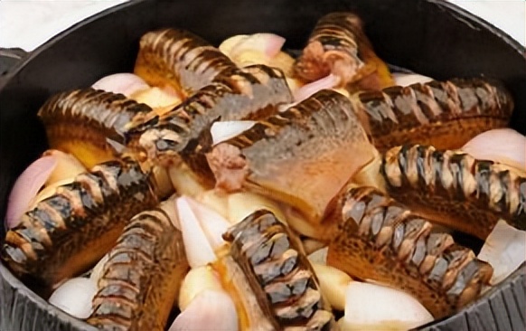 Eating eels may bring 6 benefits to the body, it is recommended to know ...