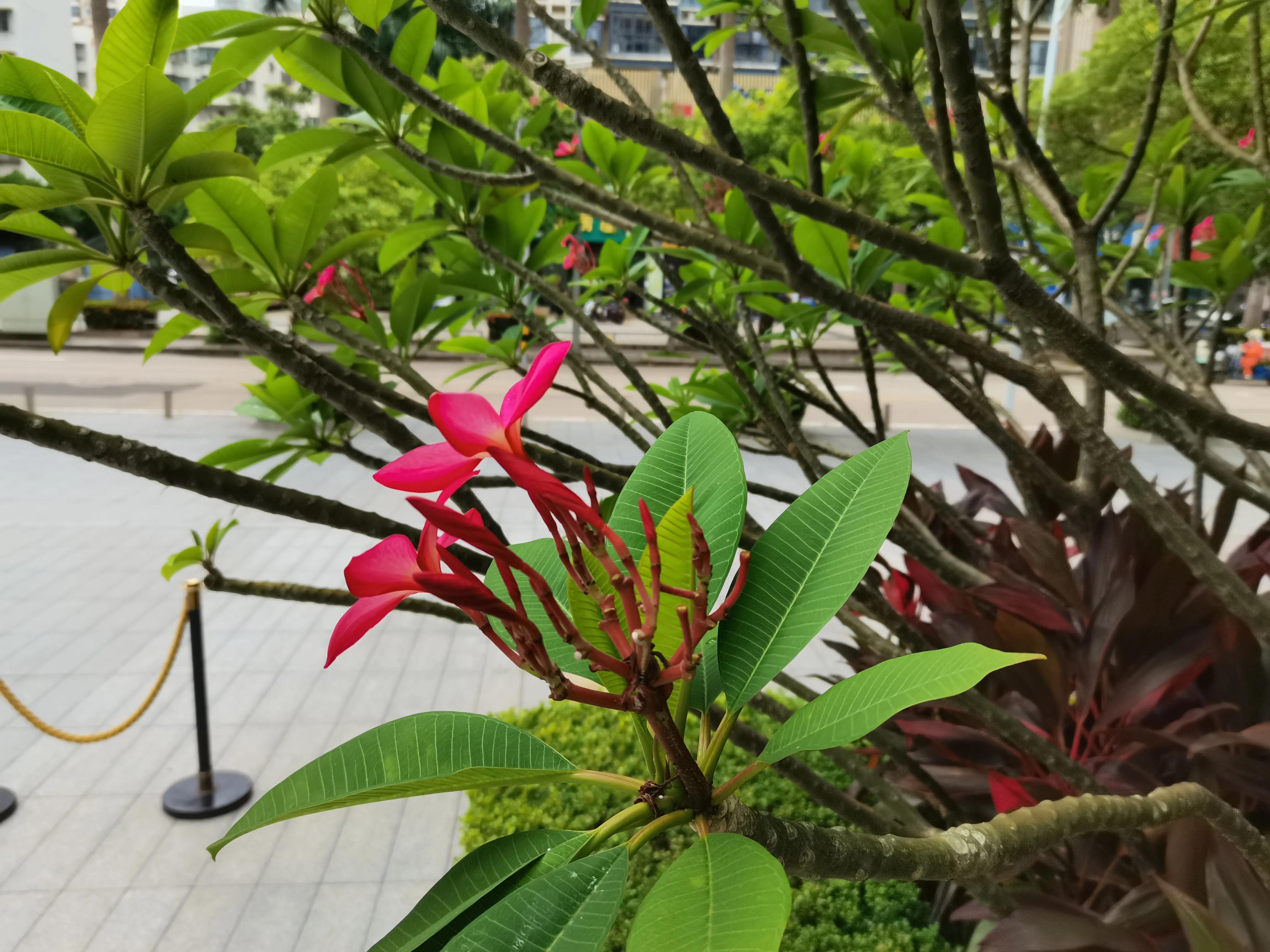 Talk about the "if there's war I won't fight for my country" argument ...