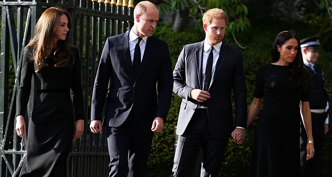 Will Prince William hug Prince Harry again only after divorcing Meghan ...