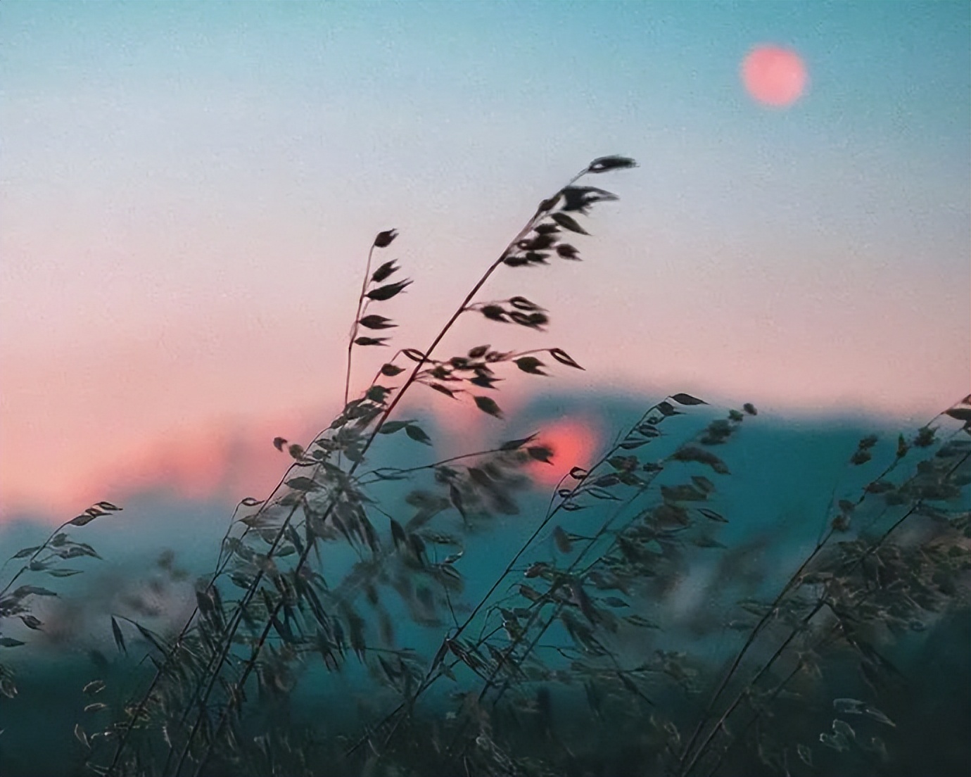 "People have a noble character, you can tell at a glance": Whether a ...