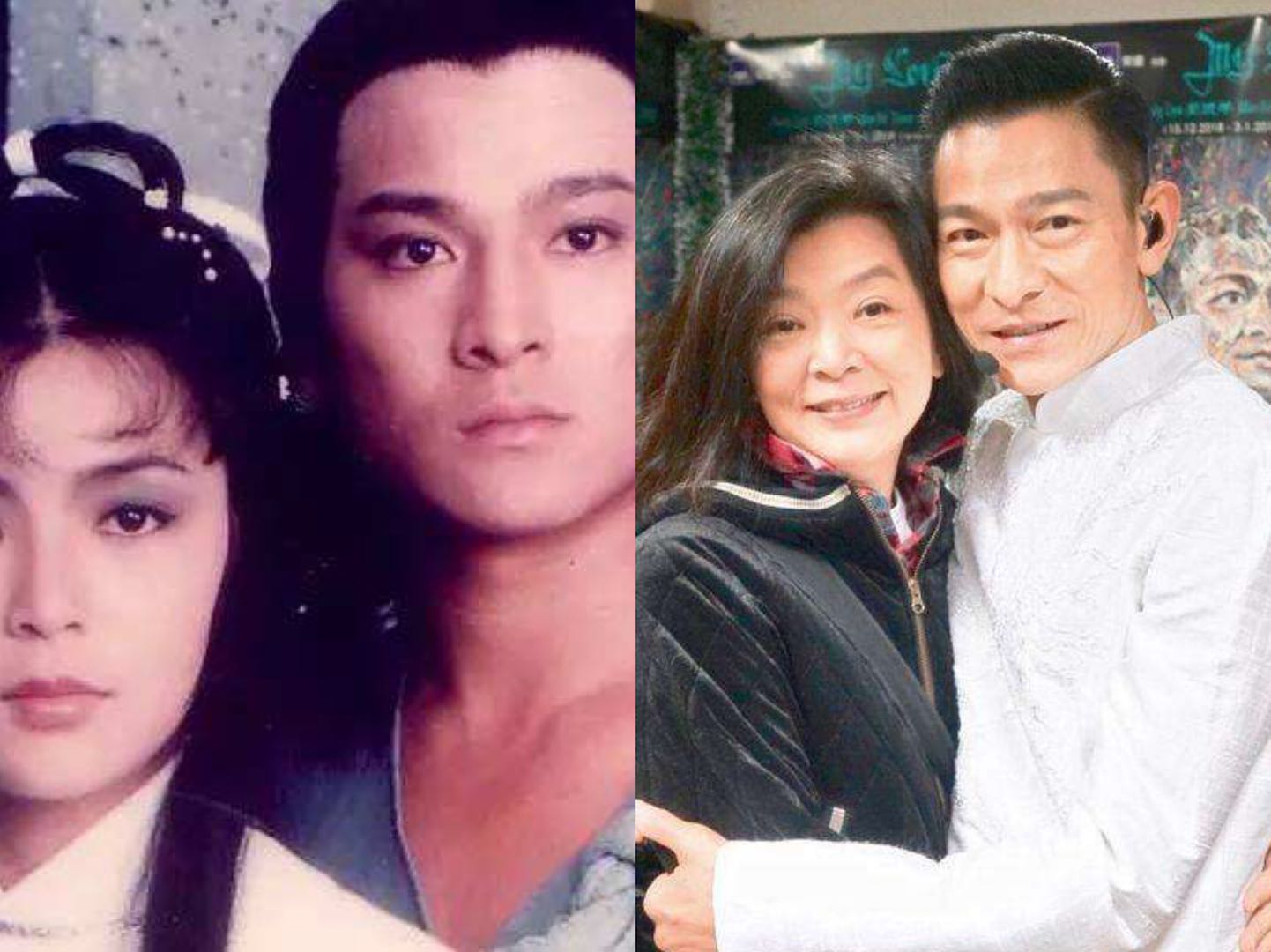 Andy Lau Love History: Anita Mui, Idy Chan, Rosamund Kwan, Zhu Liqian ...