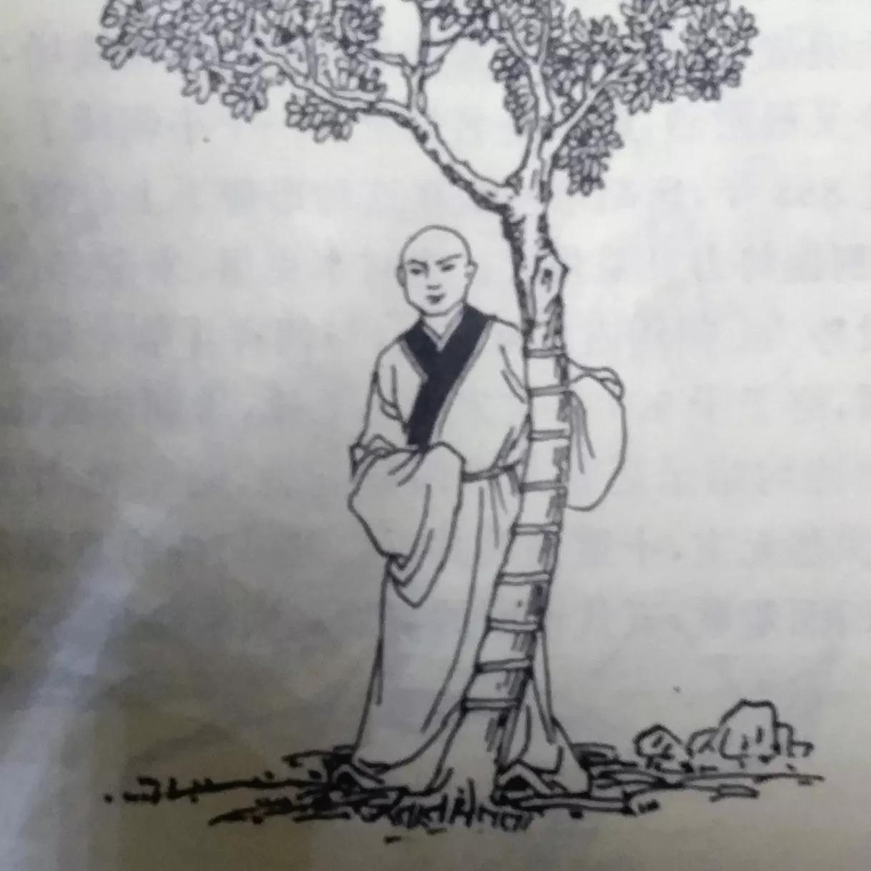 "Tui Bei Tu" is composed of ten tang trees, and a monk hides behind the ...