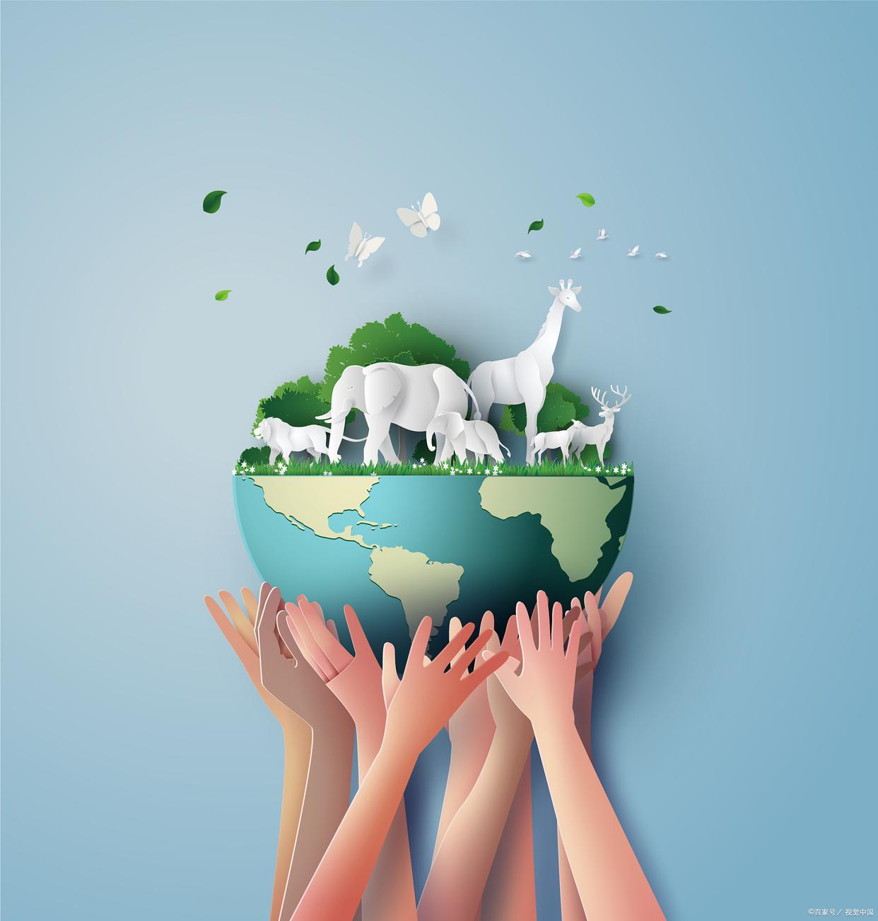 Biodiversity: Why do we need to protect wildlife? - iNEWS
