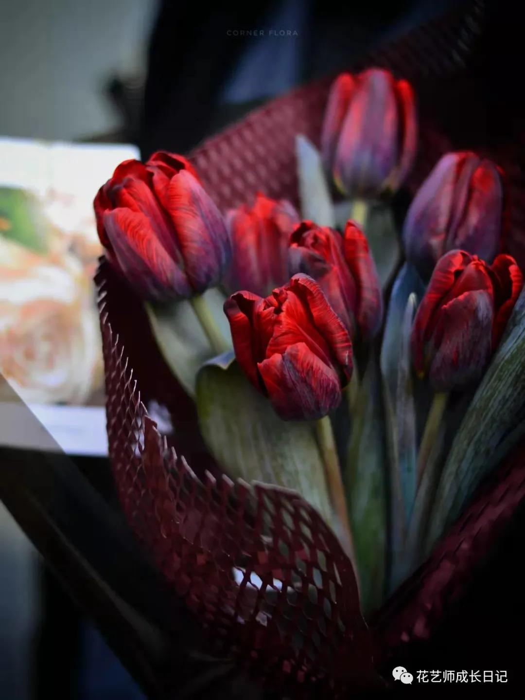 Black magic tulip, cool dark wind~vol.7 - iNEWS