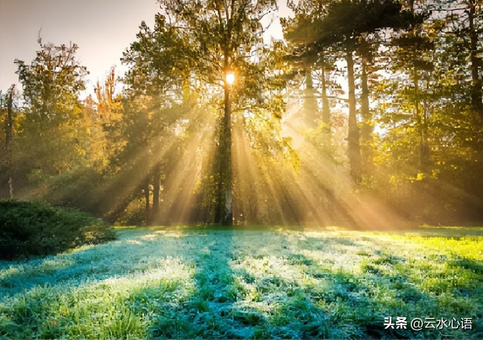 In Bai Juyi's "Early Winter", the couplets use lianzhu pairs, and the ...