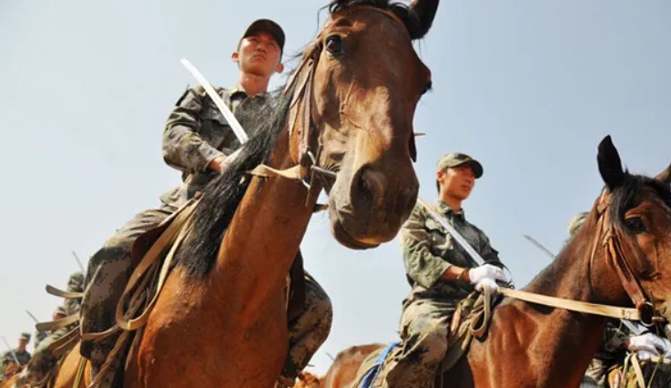 Type 65 cavalry knife - the only standard saber installed by the ...