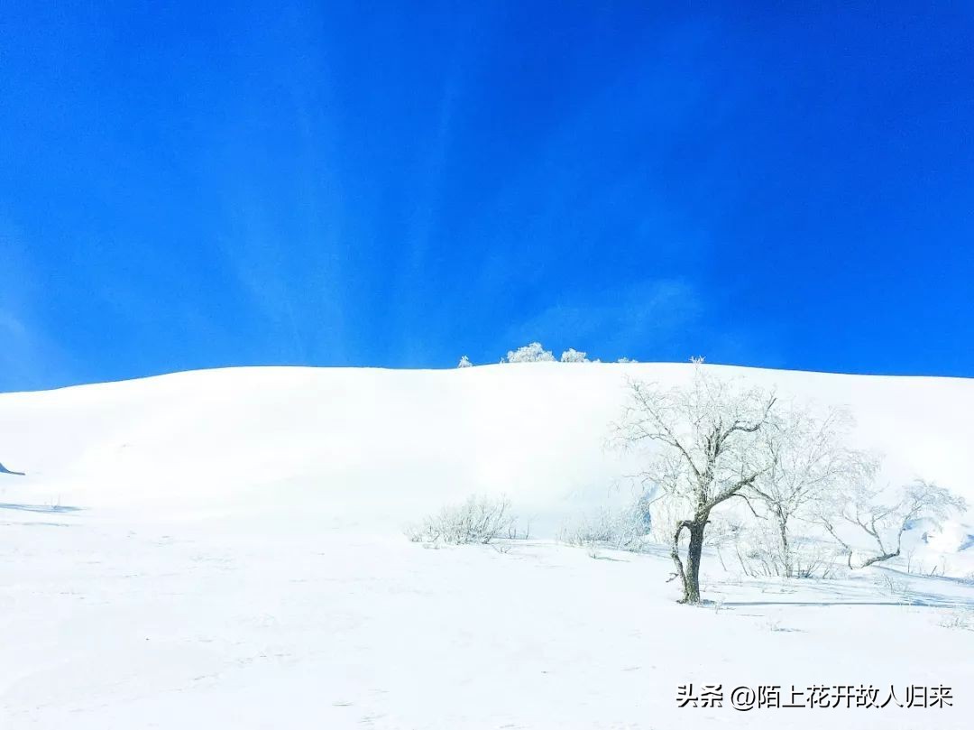 The most beautiful snow country is the color of snow - iNEWS