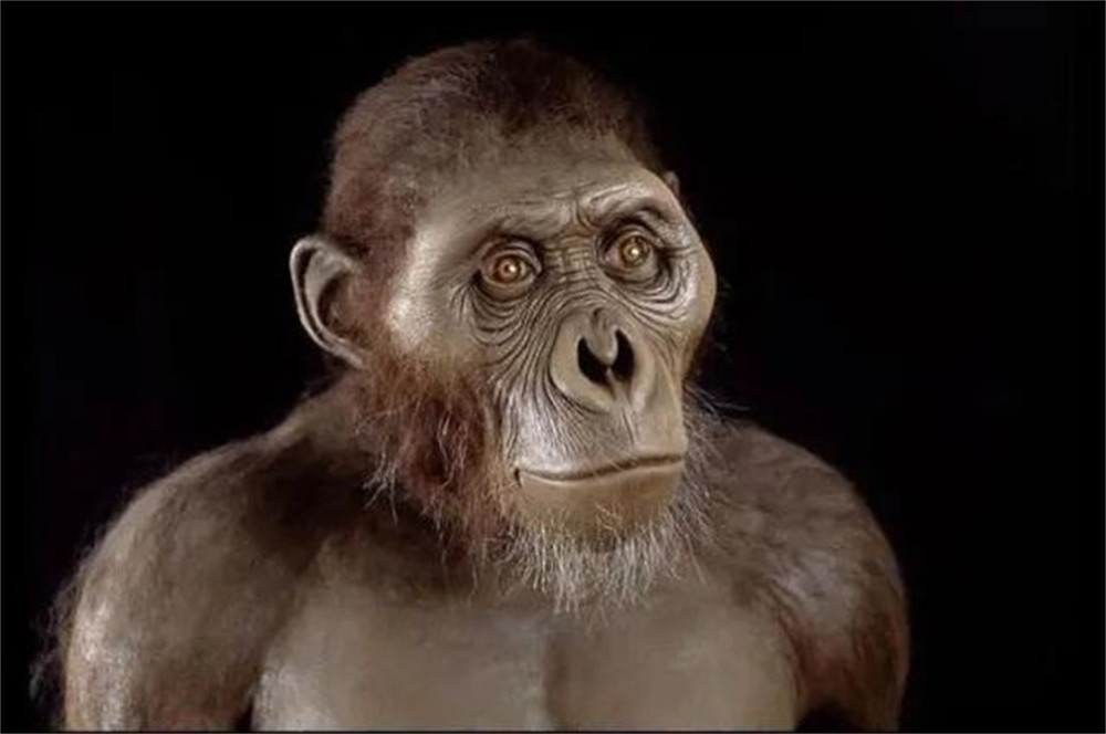 How did the first human come from?Our earliest ancestor was a 20-year ...