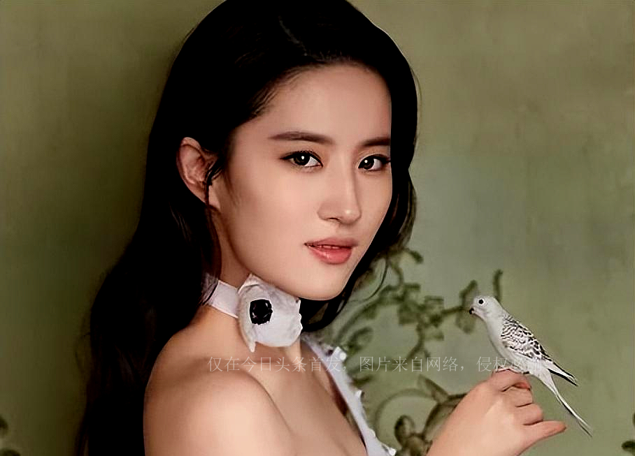 Liu Yifei and Lin Gengxin appeared at the airport, with the man behind him humblely holding his ...