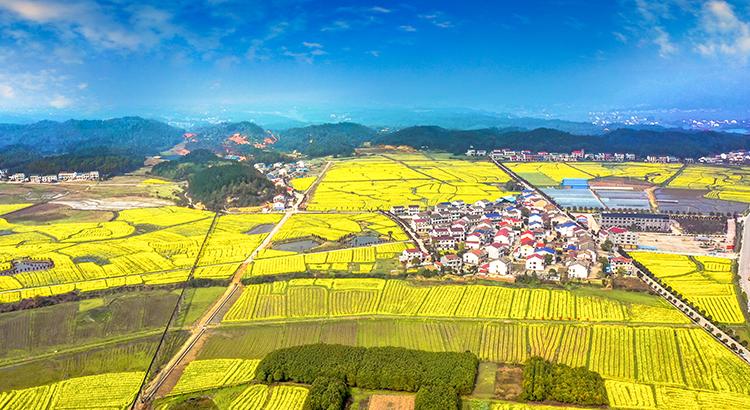 Changle Town Adventure - iNEWS