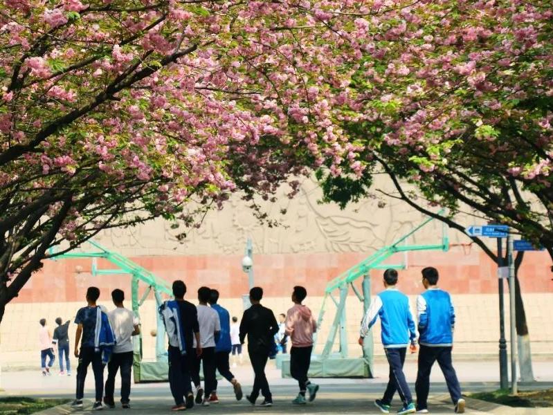 "Ye Qinghui"! Look, the story of "Slam Dunk" and Qingbaijiang... - iNEWS