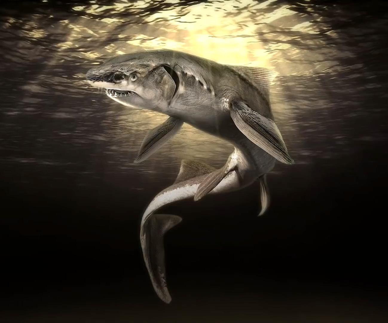 A mysterious "water monster" was found in a Canadian lake, and strange ...