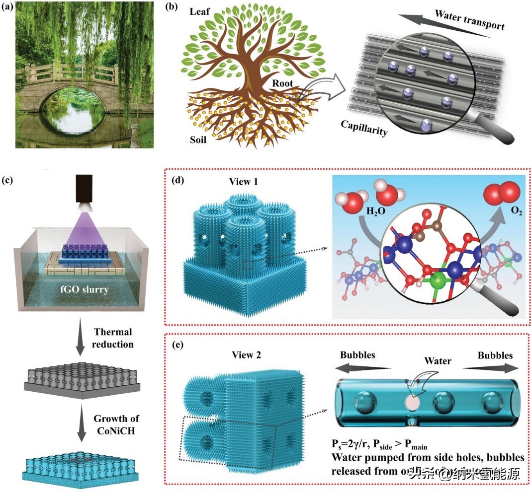 Adv. Sci: 3D printed microcapillary support electrode controls bubble ...