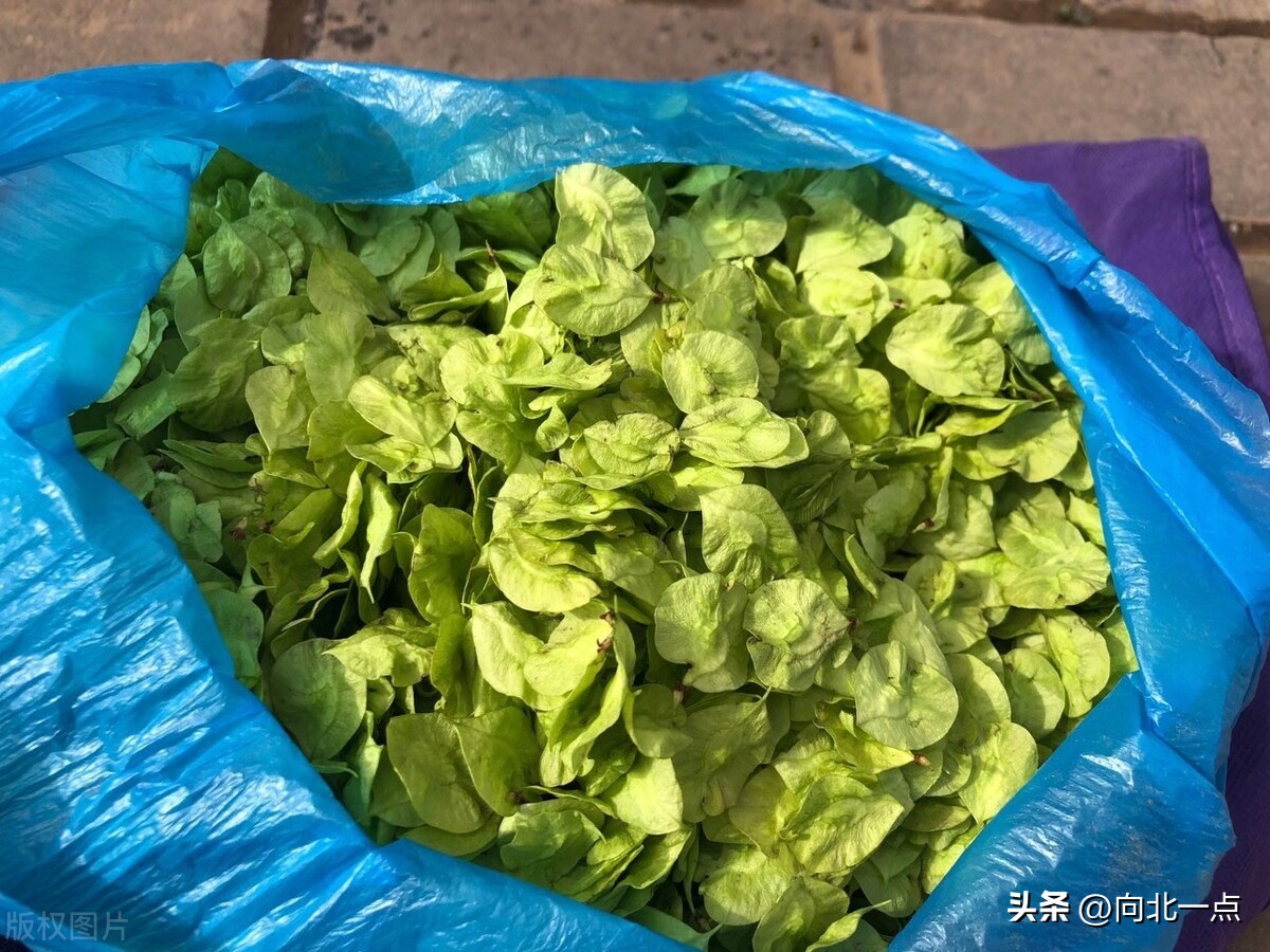 Yuqian is bitter and tired: How many people know about it and have ...