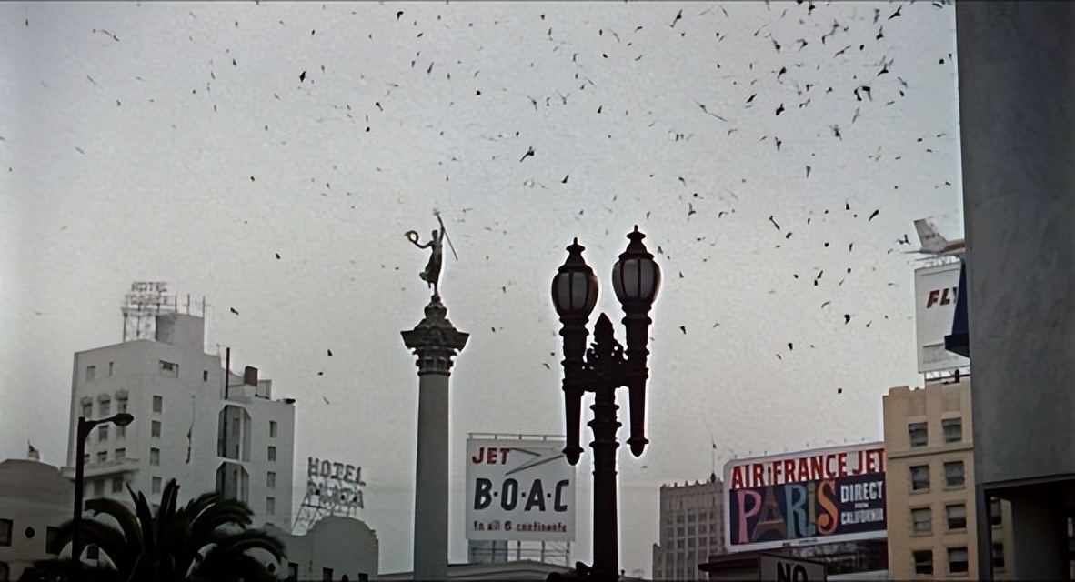 How did the movie "The Birds" use special shots and angles to emphasize ...