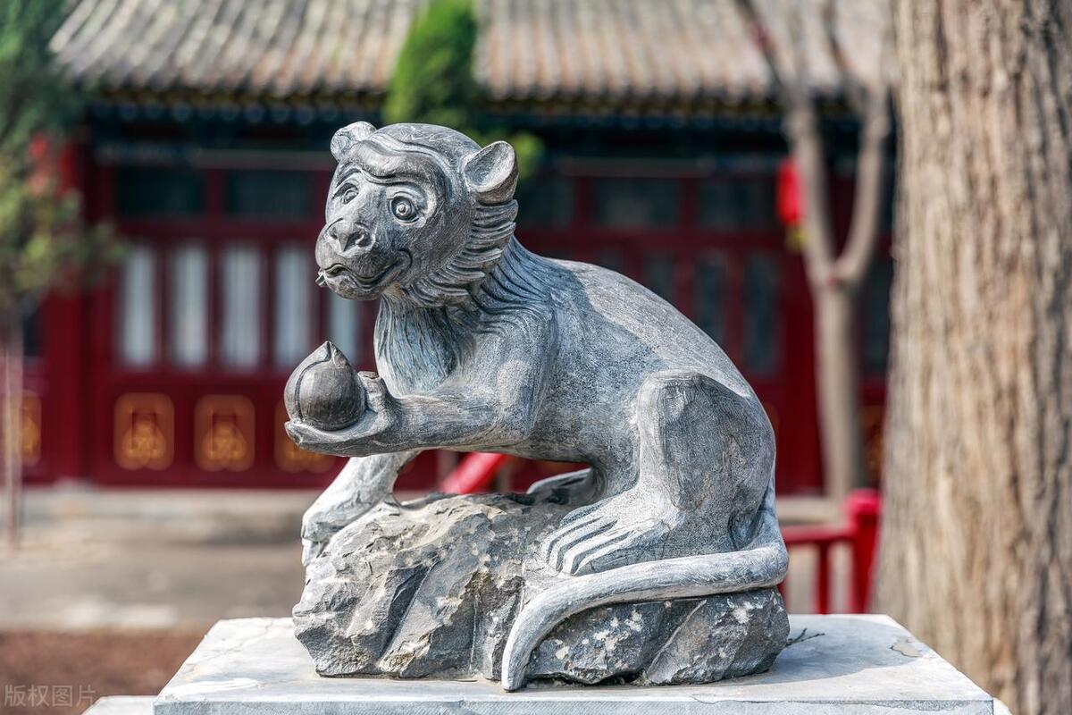 Marriage Fortune Analysis of Chinese Zodiac Monkey in the Second Half ...