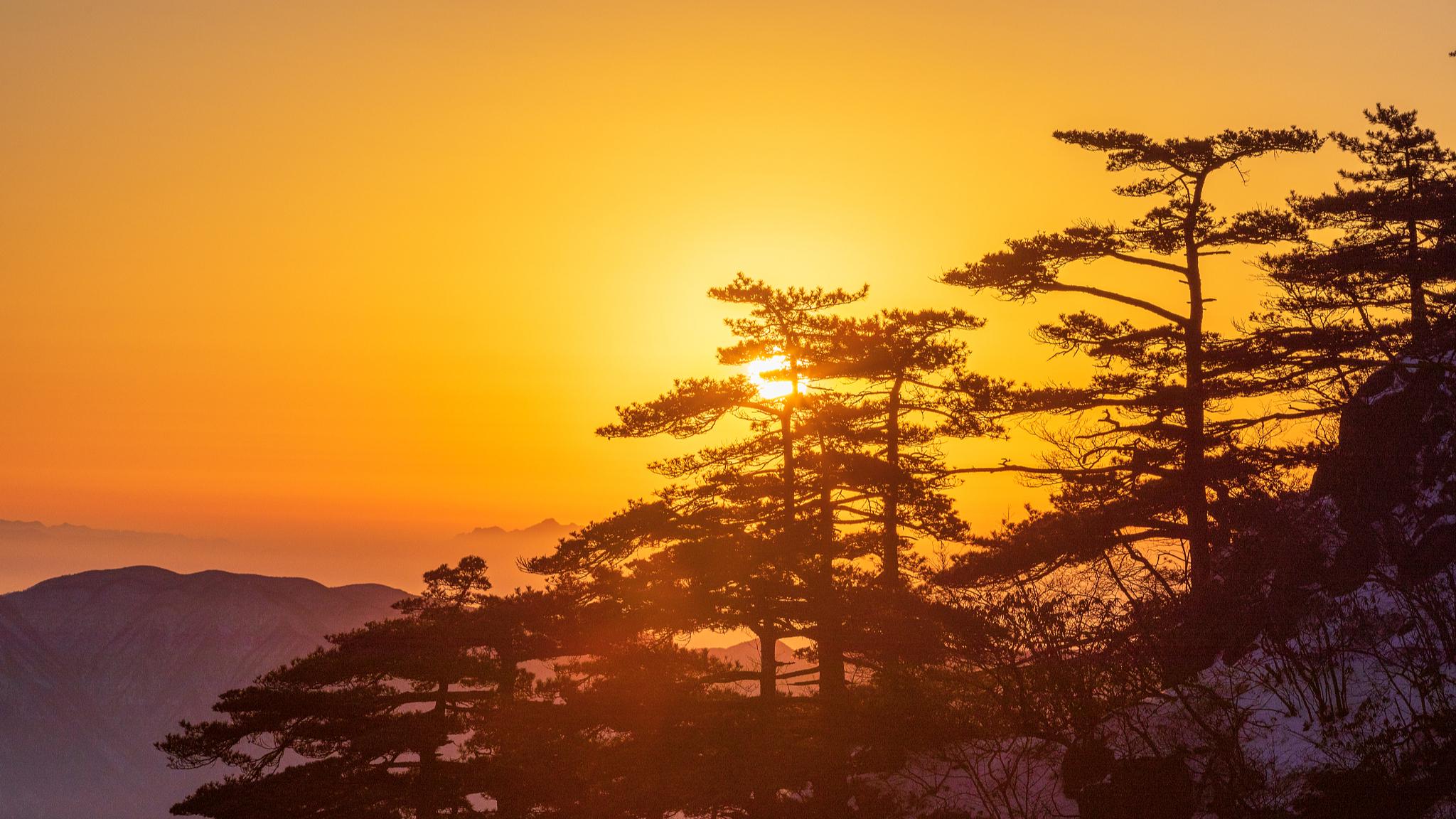 Yuan Haowen lived in seclusion to study history, read letters from ...