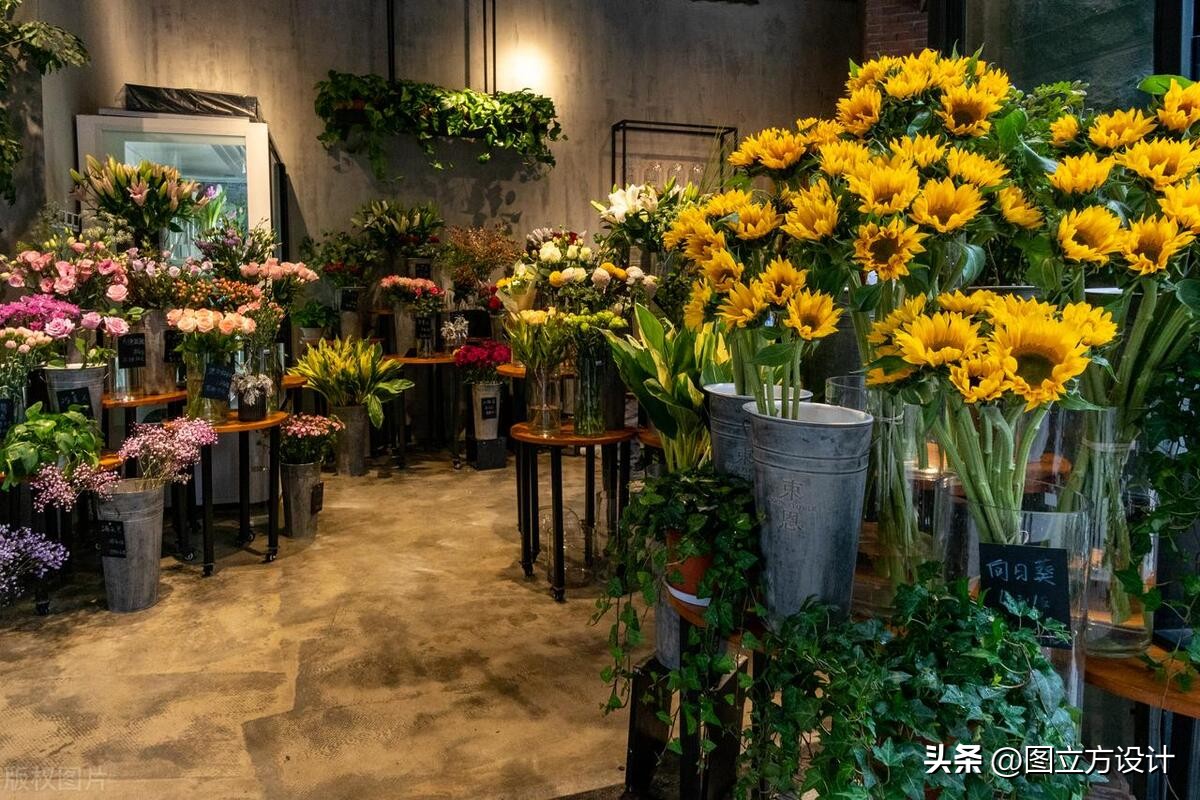 Creative flower shop - iNEWS