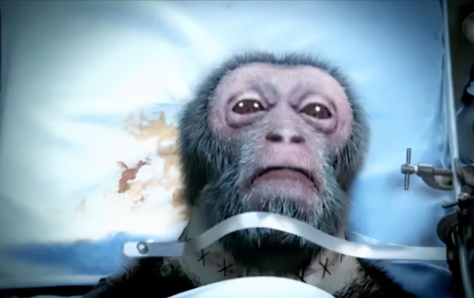 When will humans succeed in changing their heads?The first person in ...