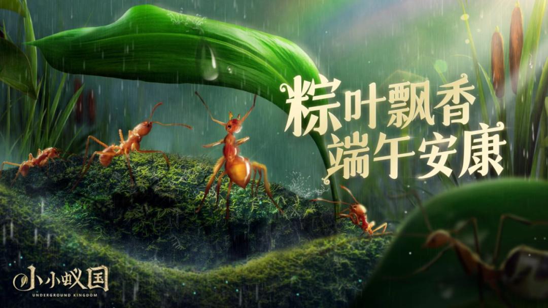 Little Ant Kingdom: Premium Strategy Game - iNEWS