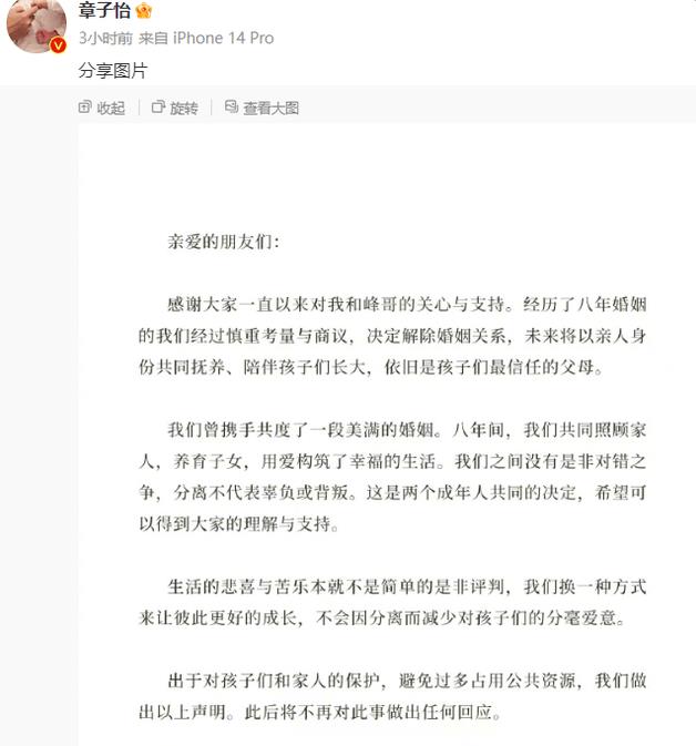 Paparazzi revealed the reason for Wang Feng and Zhang Ziyi's marriage changes: Both divorces ...