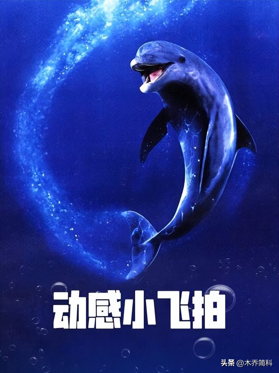 The movie "Little Fly": the shaping of the storyline and characters ...