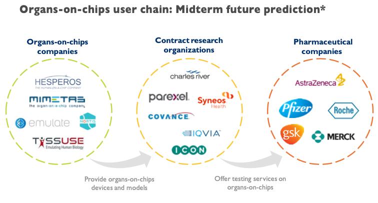 Sanofi takes the lead, and "organoids" become a must for global R&D ...