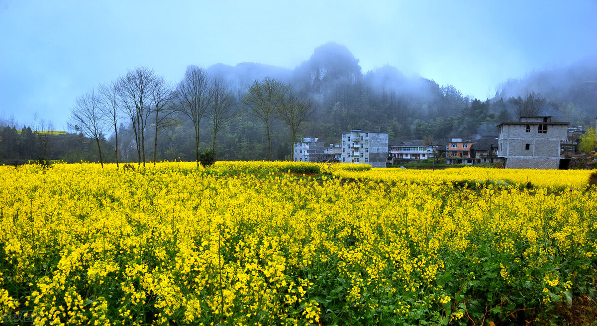So beautiful! The list of the best travel destinations in March, the ...