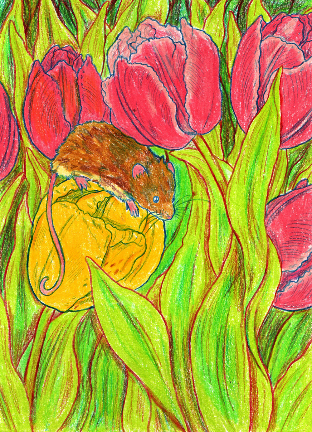 British Illustrator - Hannah Lock - iNEWS