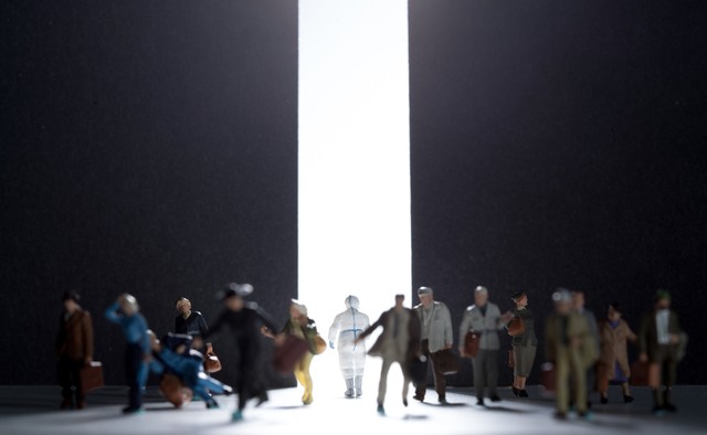 Understanding Capital Preservation and Appreciation Rates: Calculation ...