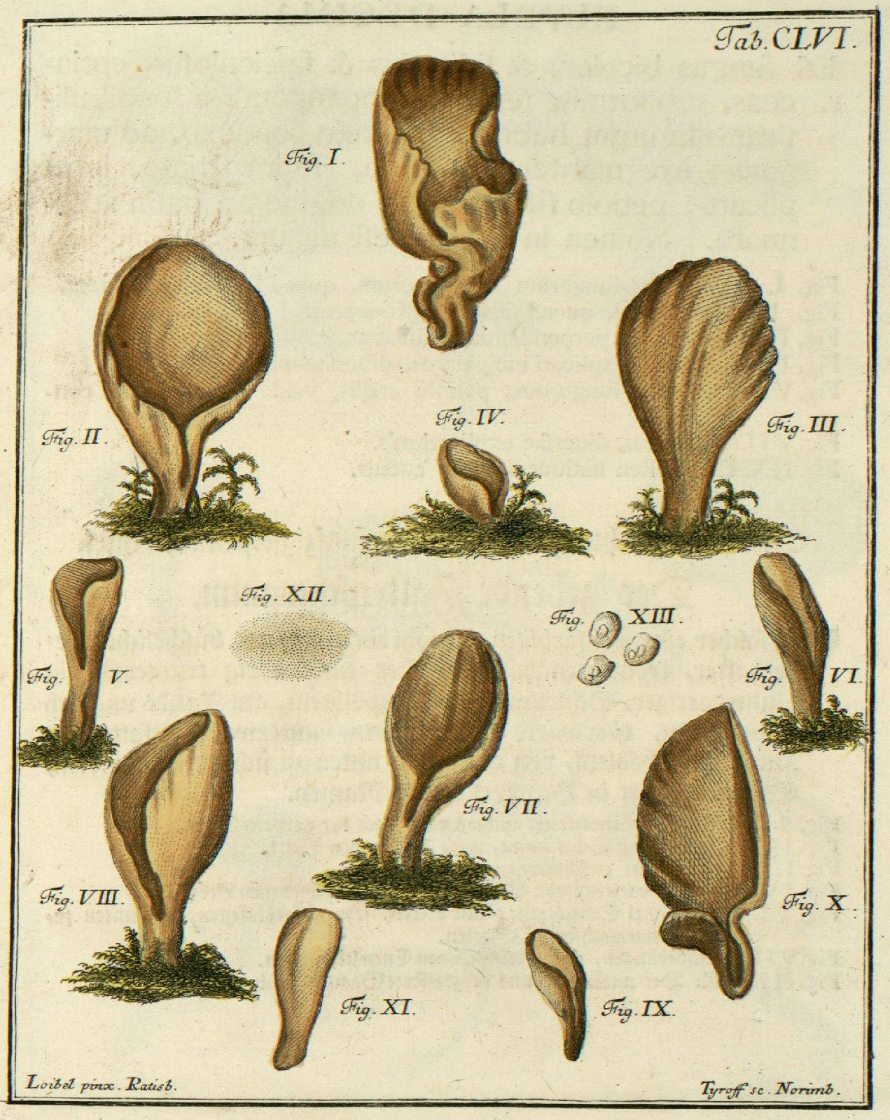 Paleontological assemblages in Western Hunan: Features of ...