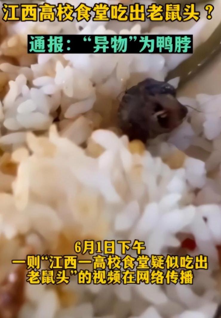 "It's a duck's neck, not a mouse's head!": Be tolerant of new species ...