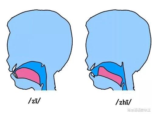 A fact that only 1% of people know: flat tongue is not a language ...