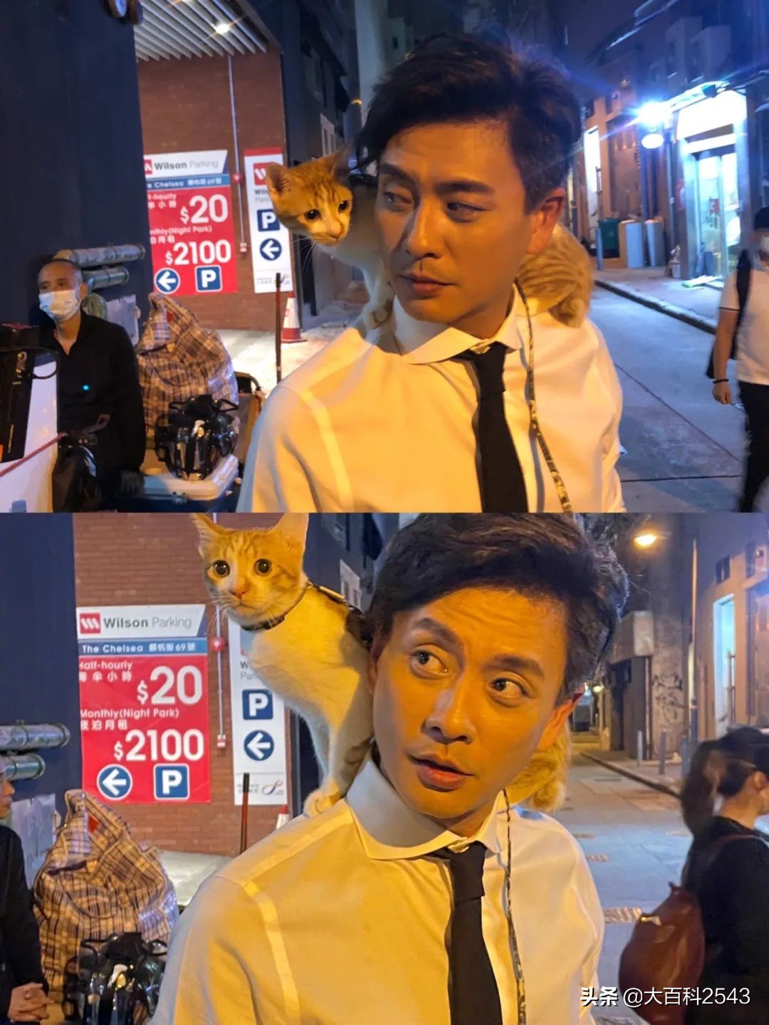Even they have become "Shen Teng 2.0", is Hong Kong TVB really going to ...